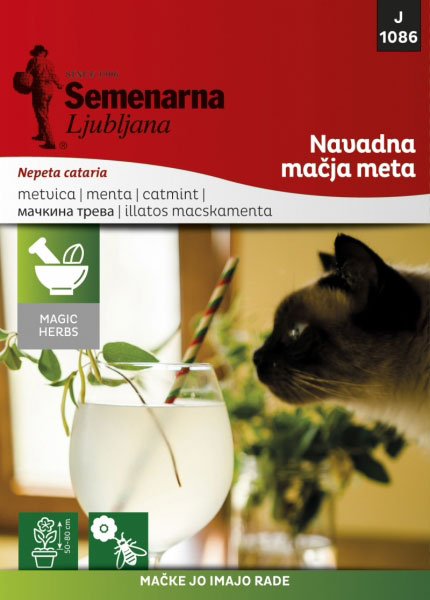Seme - Mačija trava - Nepeta cataria 1086 Cena, Prodaja Seme - Mačija trava - Nepeta cataria 1086 Cena, Prodaja
