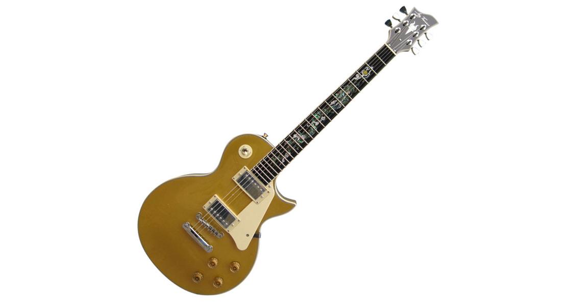 Jay Turser JT-220D Serpent Gold Top Električna Gitara - Kupi OnLine odlična cena