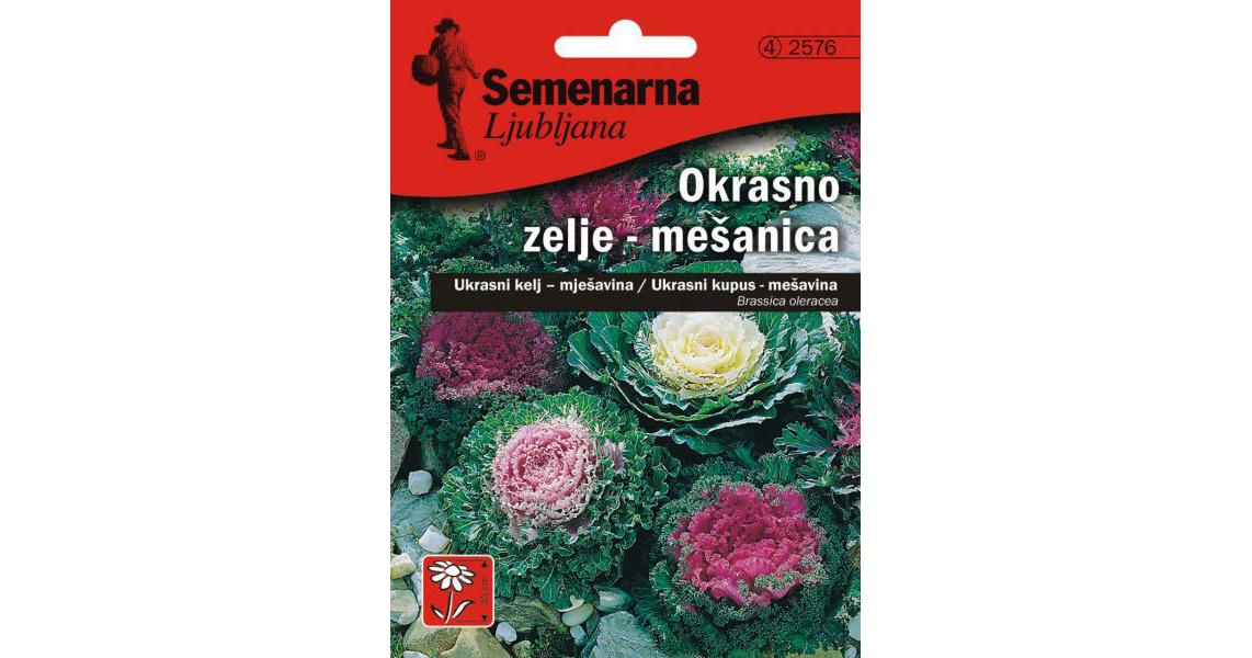 Seme Za Ukrasni Kupus Mešavina Brassica Oleracea 2576 Kupi Online Odlična Cena