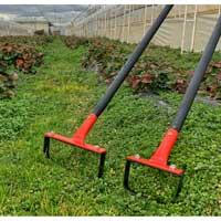 Motike - Povoljne cene i Online prodaja